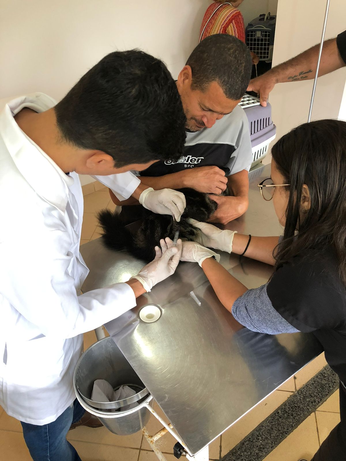 Saquarema tem 719 pets imunizados no 1º dia de vacinação antirrábica ...